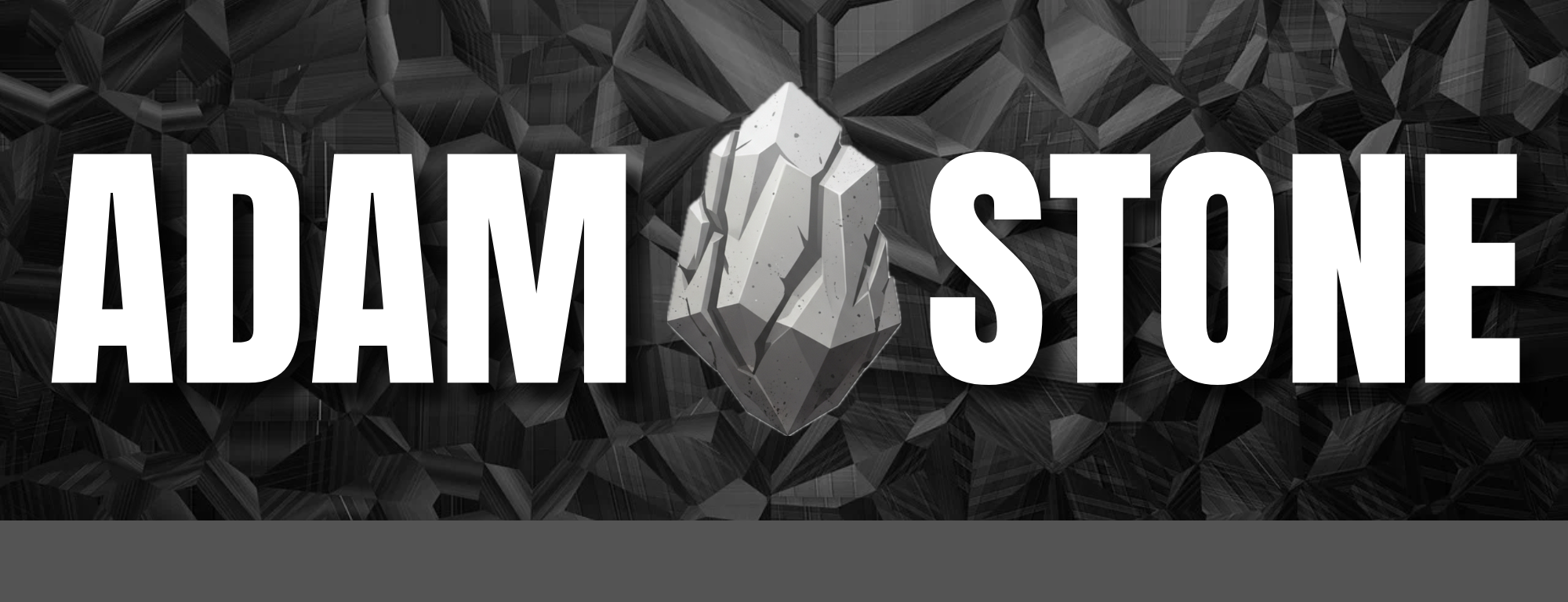 THE ADAM STONE PROJECT